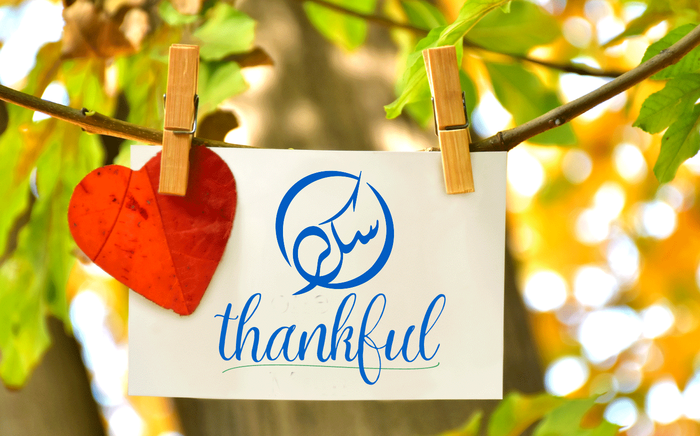 Thanksgiving An Islamic Perspective IslamiCity thanksgiving-an-islamic-perspective-islamicity