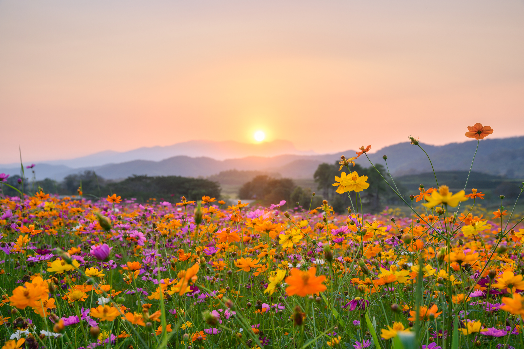 Finding God: A Workshop for Converts