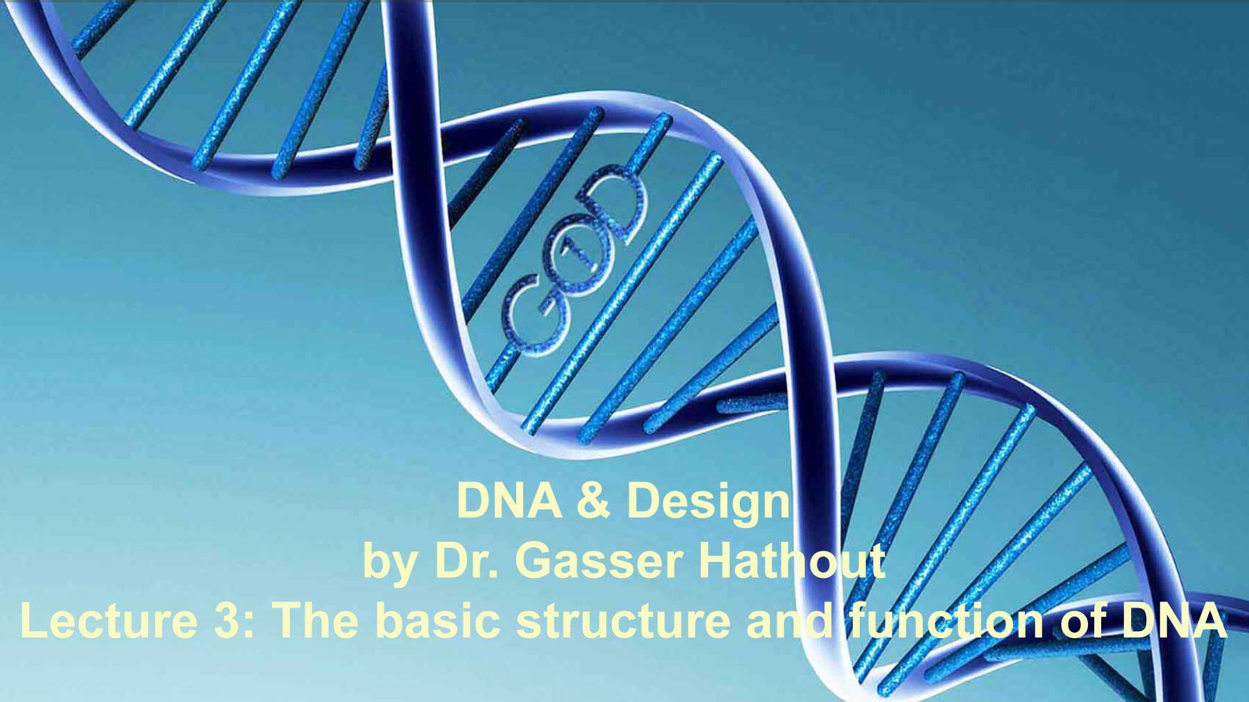Lecture 3: The basic structure and function of DNA - IslamiCity