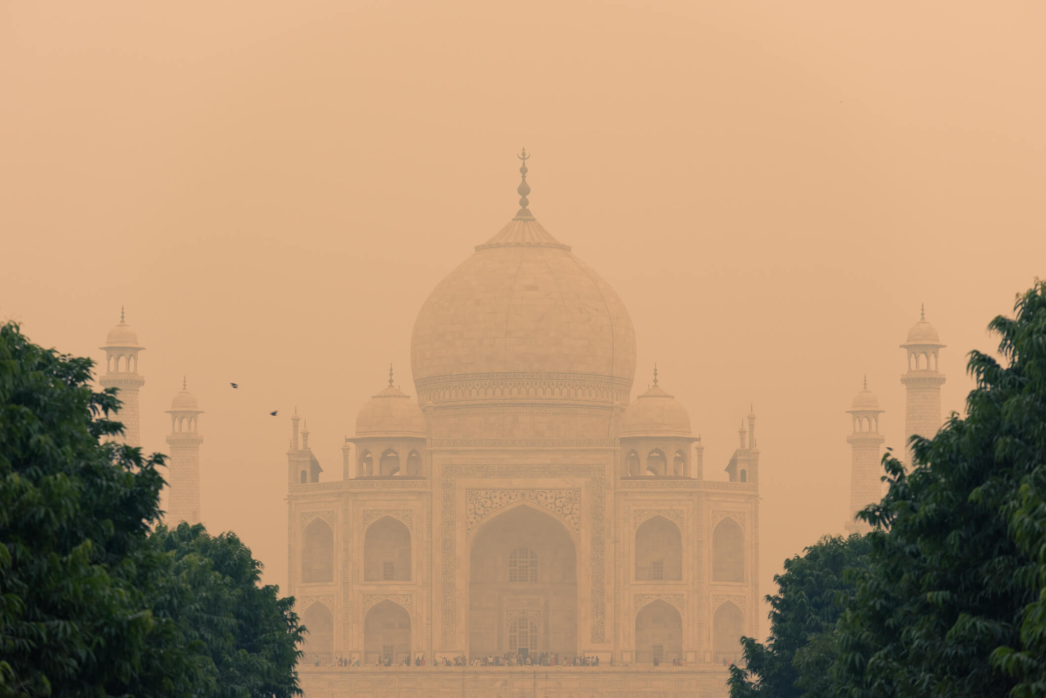 Islamic Declaration on Global Climate Change