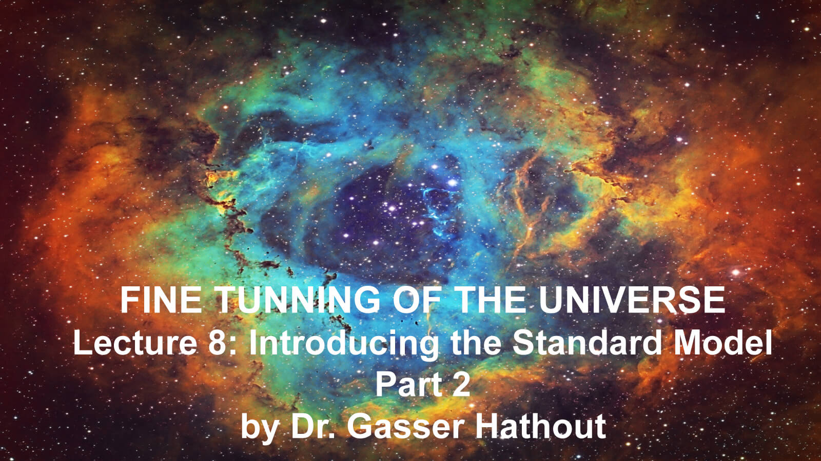 Lecture 8: Introducing the Standard Model | Part 2