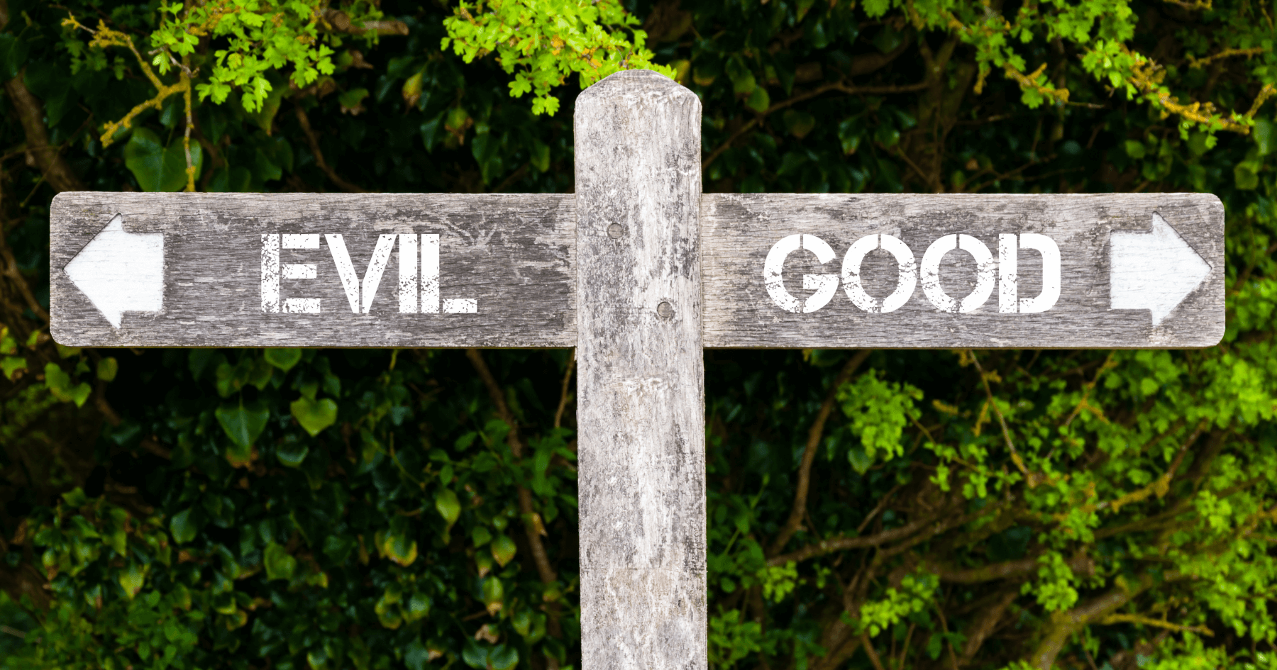 The Good Deed & the Evil Deed Are Not Alike