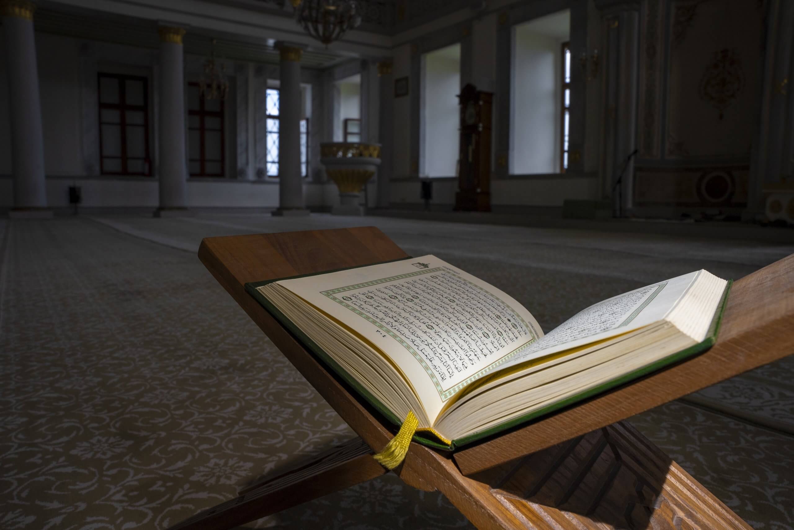 What Does Surah al-Najm Teach Us About Distinguishing Truth from Falsehood?